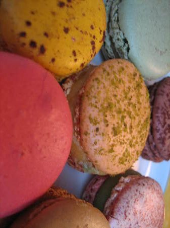 The Divine Macaroons - Luxeat