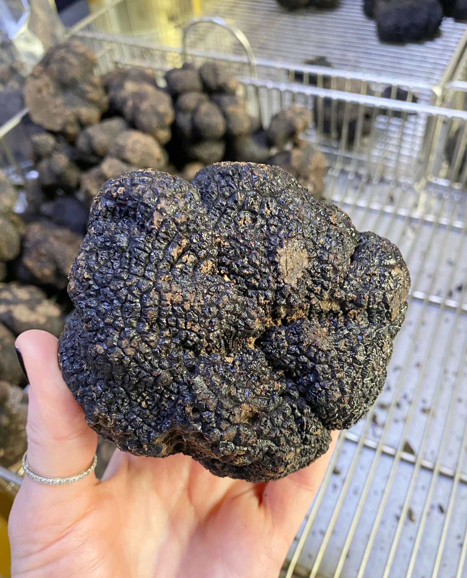 Talking Truffles with Christopher Poron, Maison Plantin - Luxeat