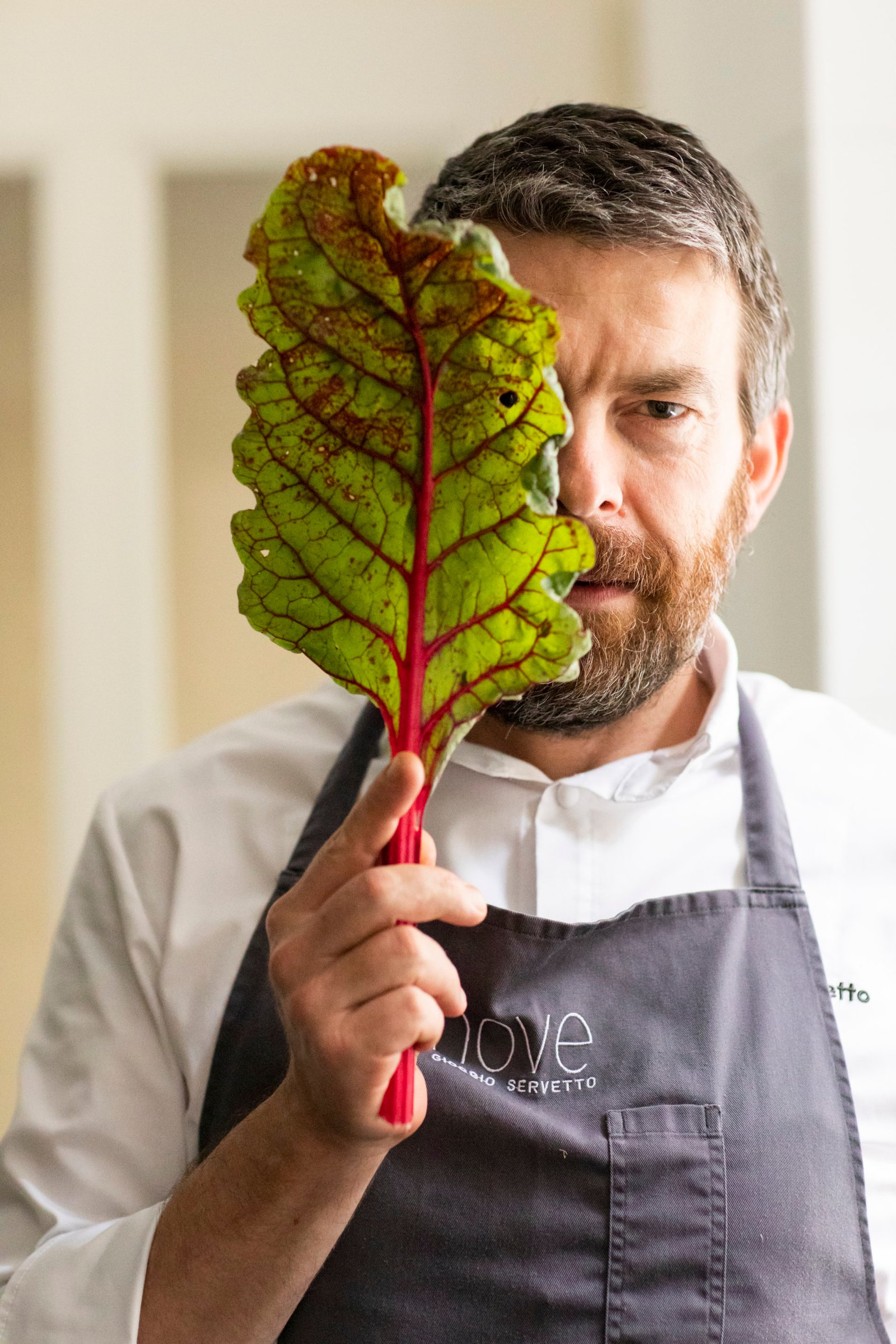 Endless Italy: Region by region, Top Chefs Share the Country’s Most ...